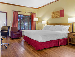 Inn Marin and Suites - Best Hotel in Novato | LOWEST PRICE GUARANTEED