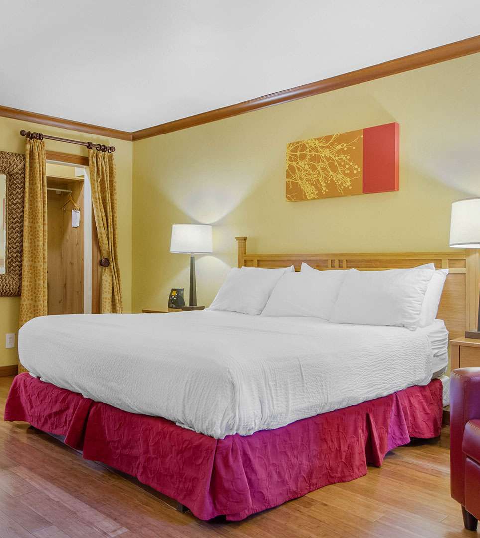 Hotel Rooms in Novato, CA - Inn Marin and Suites